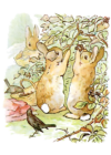 Flopsy, Mopsy, and Cottontail - LifeInscribed.com