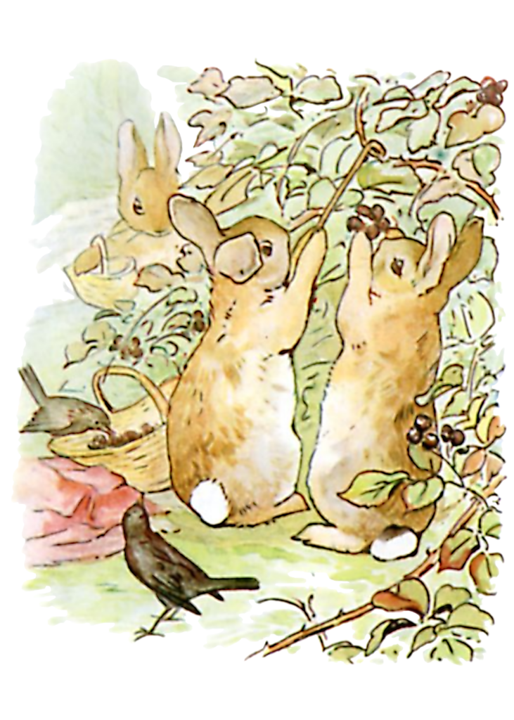Flopsy, Mopsy, and Cottontail - LifeInscribed.com