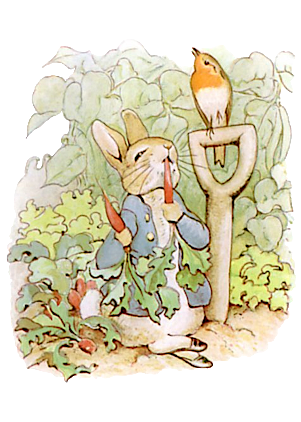 Peter Rabbit Eating Carrots - LifeInscribed.com